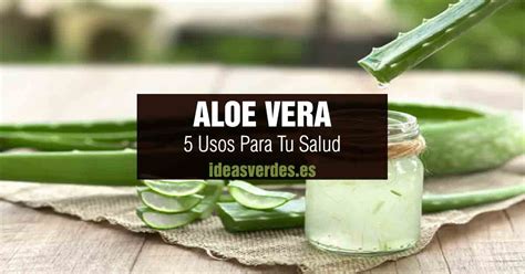 5 Usos Del Aloe Vera Que Mejoraran Tu Salud Ideas Verdes