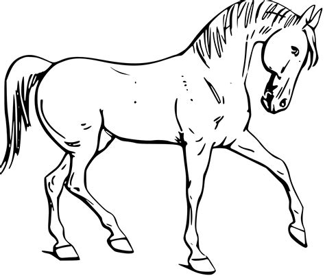 Coloriage Chevaux Ligne 1001 Animaux