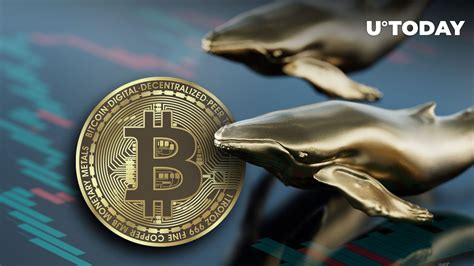 Bitcoin Btc Whales Just Drove Million Away From Exchanges