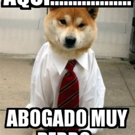 Memes para celebrar el Día del Abogado Publimetro México