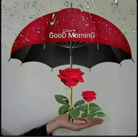 Good Morning With Roses Desi Comments