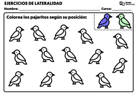 Ejercicios De Lateralidad Para Primaria Fichas Coordinación