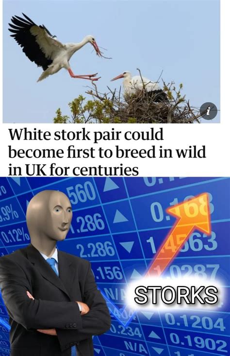 Forget Stonks Invest In R Stonks