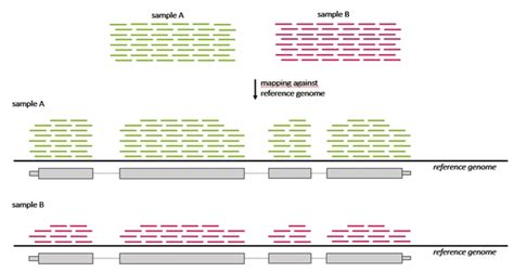 Rnaseq Analysis Identifies Gene Expression Profile