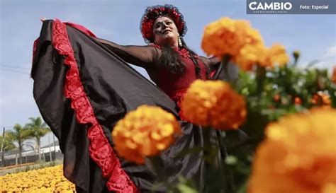 Estos Son Los D As Que Habr Puente Por El D A De Muertos