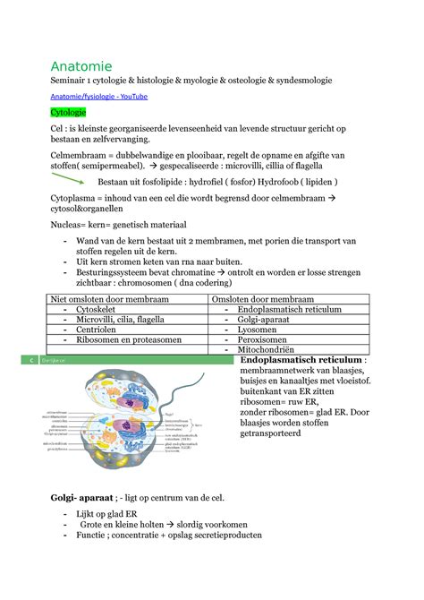 Anatomie Samenvatting Anatomie Seminair 1 Cytologie Histologie
