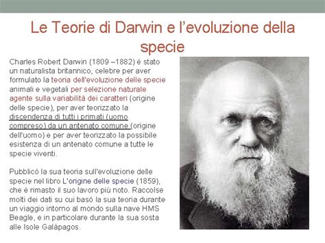 LEVOLUZIONE DELLA SPECIE Le Teorie Di Darwin E