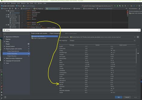 Pycharm Not Resolving Packages In Remote Docker Interpreter IDEs