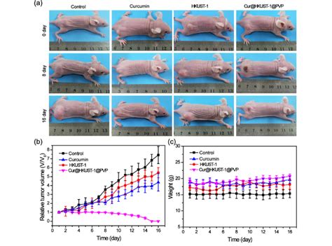 A Photographs Of The Colon Tumor Bearing Mice At D Before And At