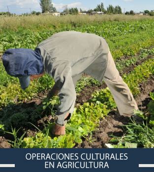 Ciberaula Cursos Bonificados De Agricultura Online