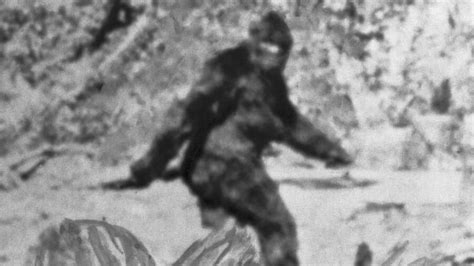 8 Convincing Sightings Of Bigfoot Across North America