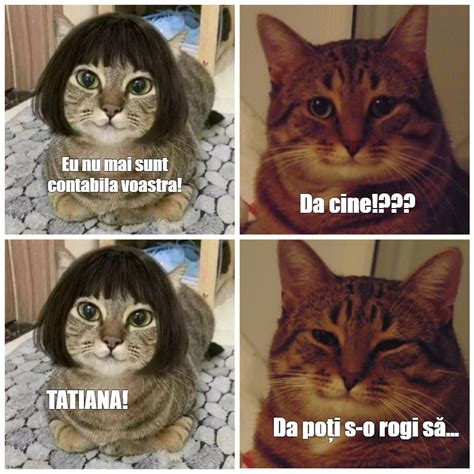 Omics Meme Eu Nu Mai Sunt Contabila Voastra Da Cine Tatiana Da