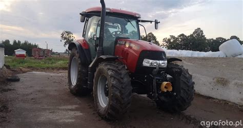 Obraz Ci Gnik Case Maxxum Galeria Rolnicza Agrofoto