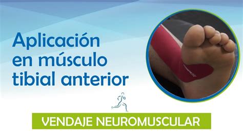 VENDAJE NEUROMUSCULAR Sabes Como Se Aplica El Vendaje En El Tibial