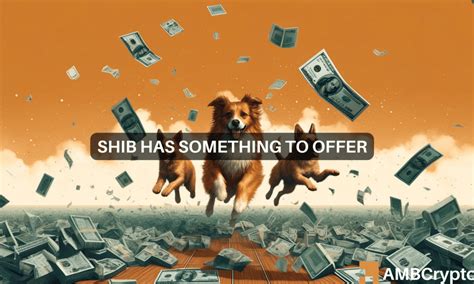 Predicción del precio de Shiba Inu todo sobre la última oportunidad de