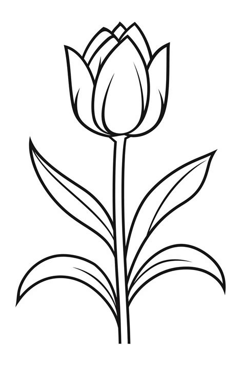 Tulpe Ausmalbilder Zum Ausdrucken 100 Kostenlos Kokoprint