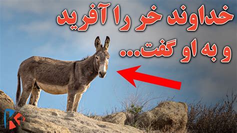 Kabul One Youtube
