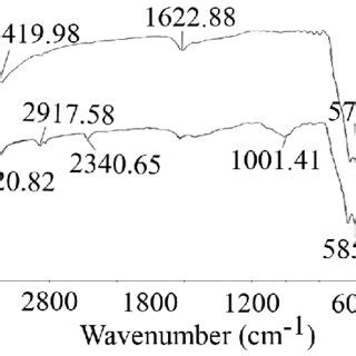 Particle Size Distribution Histograms A Naked And B Aptes