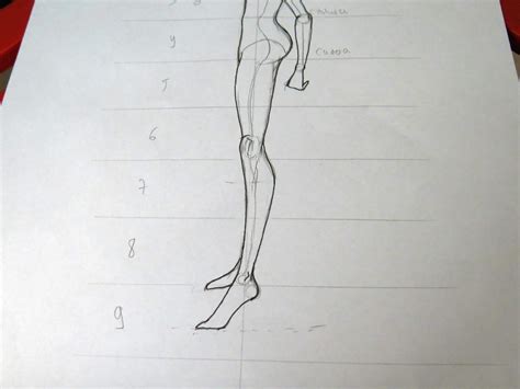 Cómo dibujar figurín de moda de perfil paso a paso Canon proporción 8