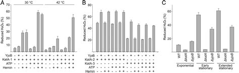 Crystal Structure And Biochemical Analysis Suggest That YjoB ATPase Is