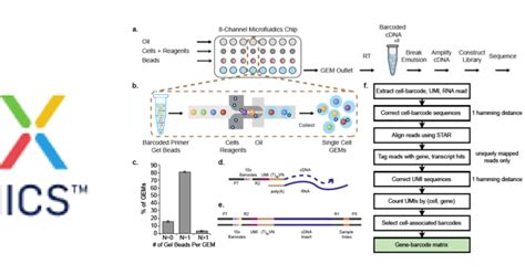 coregenomics 10x genomics single cell 3 mrna seq explained