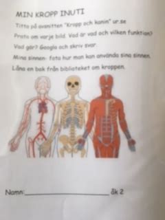 Pedagogisk Planering I Skolbanken Min Kropp Inuti