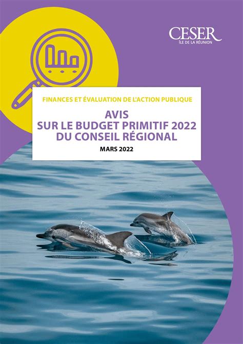 Calaméo Avis sur le budget primitif 2022 du Conseil régional
