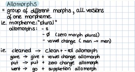 Morphology Flashcards Quizlet