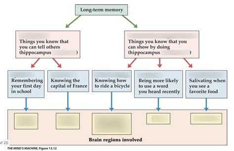 Declarative And Nondeclarative Memory Diagram Diagram Quizlet