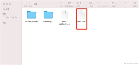 mac下载安装redis以及配置 mac下载redis csdn博客