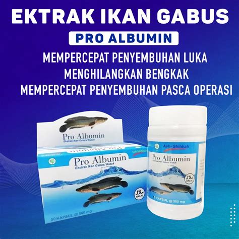 Jual Pro Albumin 100 Ekstrak Ikan Gabus Kutuk Kapsul Albumin Ikan