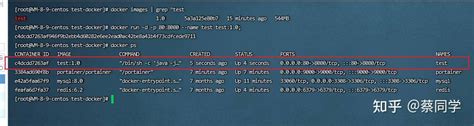 用docker compose编排微服务 知乎