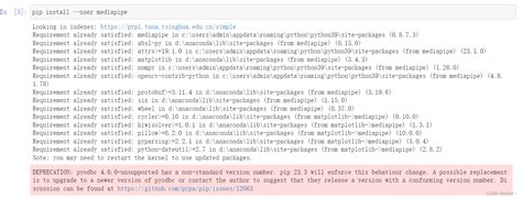python报错 Could not install packages due to an OSError 问题解决办法 CSDN博客