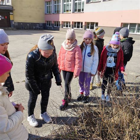 W Poszukiwaniu Wiosny Publiczna Szko A Podstawowa Nr