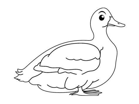 Desenhos De Pato Para Colorir