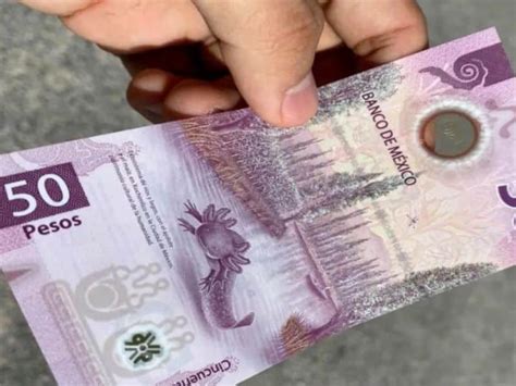 Este Billete De 50 Pesos Del Ajolote Vale Casi 1 Mdp Lo Tienes El