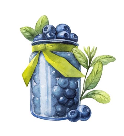 Blueberry Watercolor Botanical Illustrations Glass Jar Stock