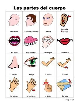 Spanish Body Parts PICTURE Notes SET By Spanish Resource Shop TpT
