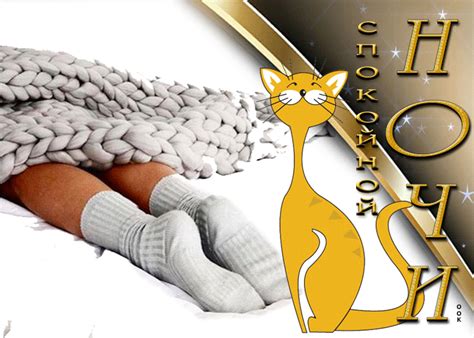 Клевая открытка с кисой Спокойной ночи Скачать бесплатно на otkritkiok ru