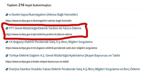 2024 Elektrik Yardımı ile Fatura Ödeme e Devlet Nasıl Yapılır