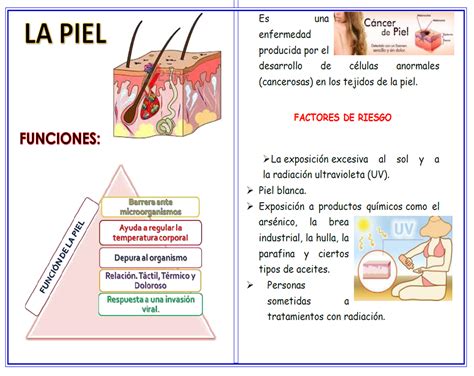 PROTEGIENDO NUESTRA PIEL