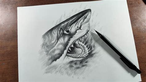 Cómo Dibujar un Tiburón Blanco a Lápiz Paso a Paso Muy Fácil YouTube