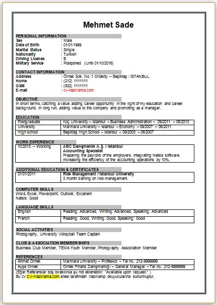 Ingilizce Cv Ornekleri Word Format Nda Indir Cv Haz Rlama