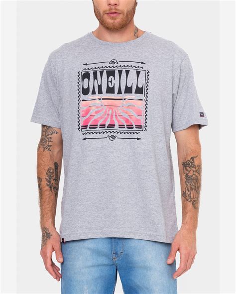 Riachuelo Camiseta Oneill Pancho Cinza Mescla