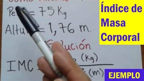C Mo Se Calcula La Masa Muscular Mibbmemima