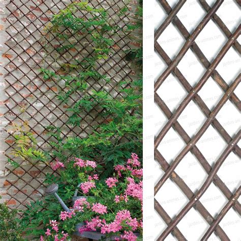 Treillis Mural Pour Plante Grimpante
