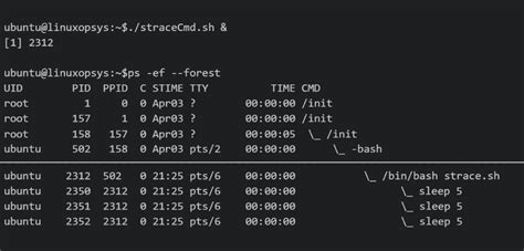 Debugging Techniques For Bash Scripts