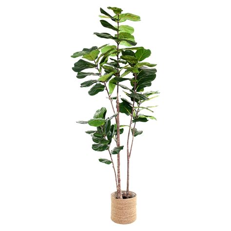 Kunst Ficus Lyrata 240 Cm Coolplant