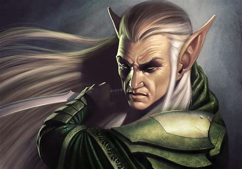 Male Elf Male Elf Elf Warrior Elves Fantasy Wood Elf Hd Wallpaper Pxfuel