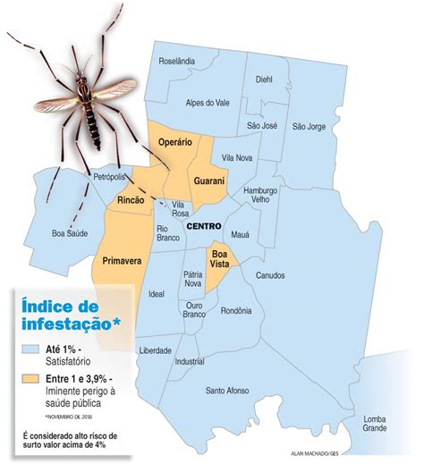 Primavera é o bairro mais vulnerável à proliferação do mosquito da